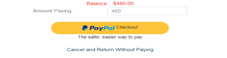 How do I Make a One-Time or Catch-up Payment?