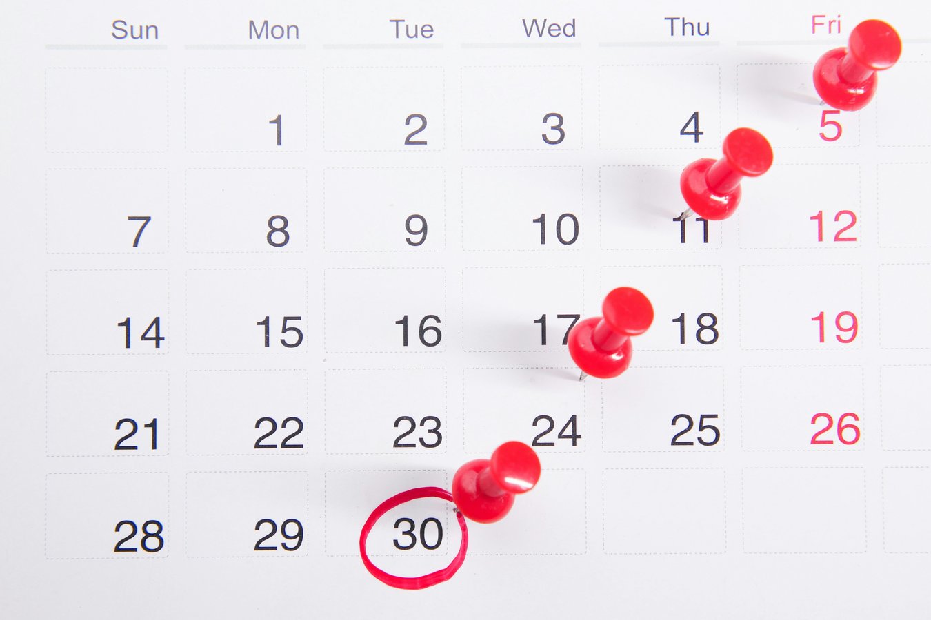Where can I find the Academic Calendar?